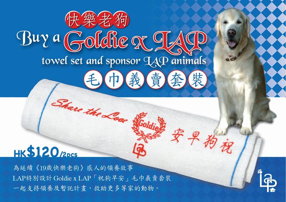 LAP Lifelong Animal Protection Charity