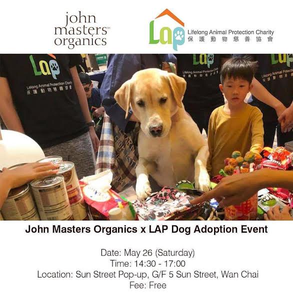 LAP Lifelong Animal Protection Charity