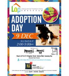 LAP Lifelong Animal Protection Charity