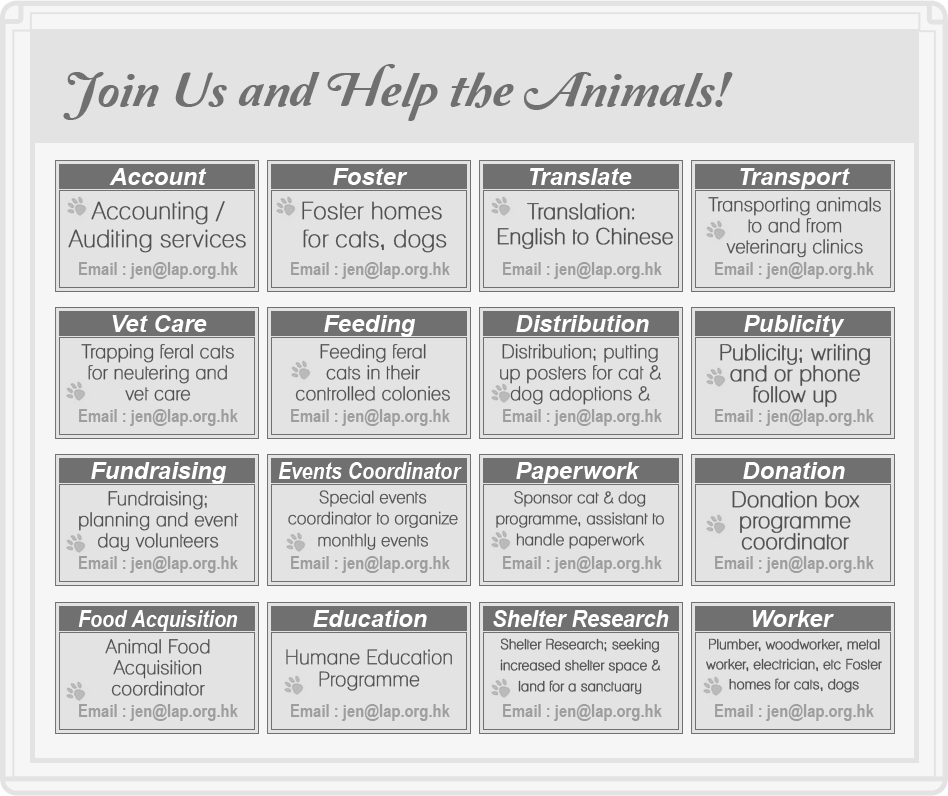 LAP Lifelong Animal Protection Charity