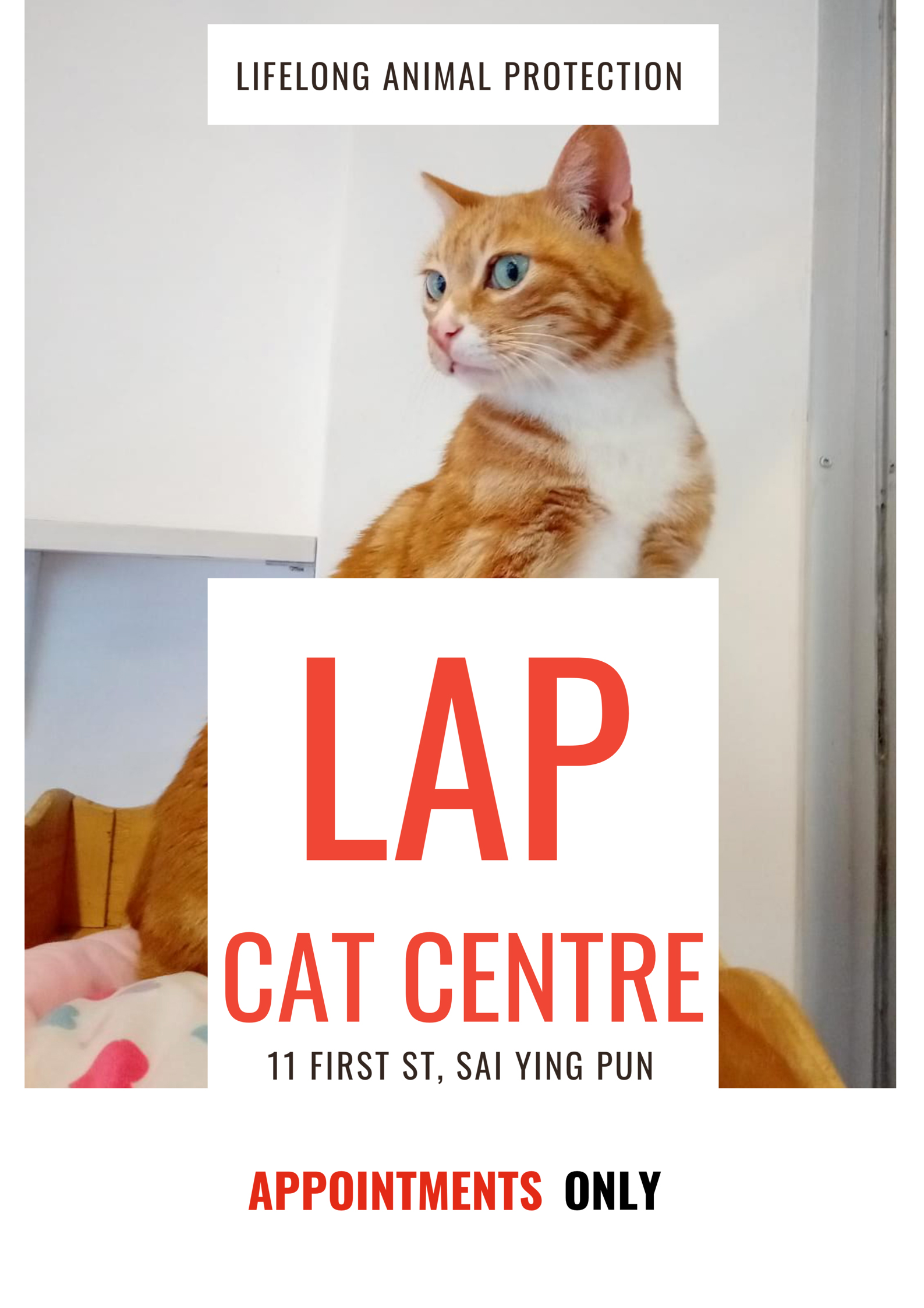 LAP Lifelong Animal Protection Charity