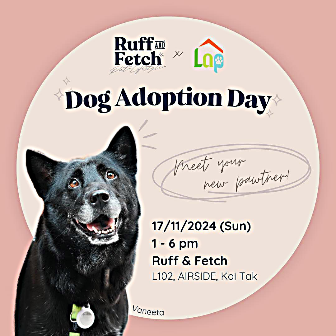 LAP Lifelong Animal Protection Charity